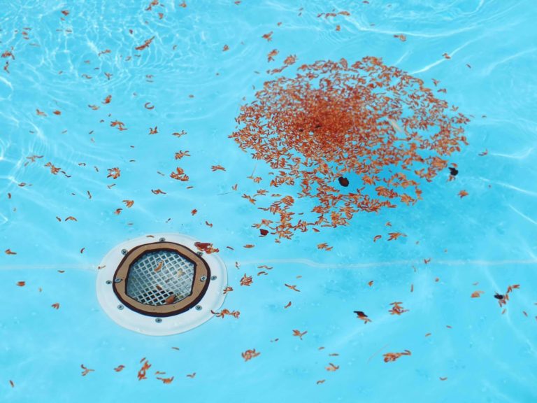 Pool Drain Dangers | How to Keep Your Pool Drain Safe | All-Safe