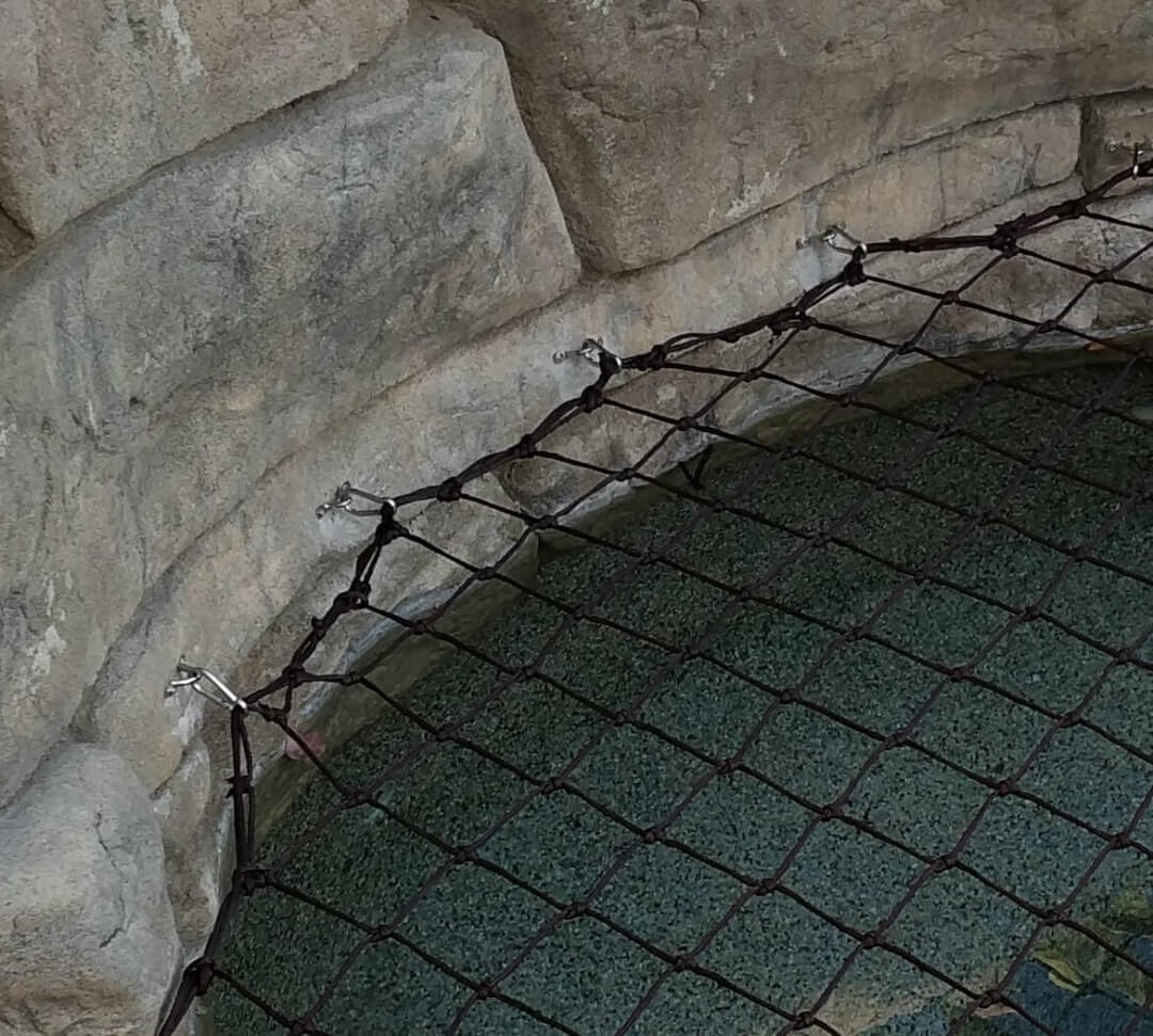 Pool Net Parts Identifier Guide | All-Safe Pool